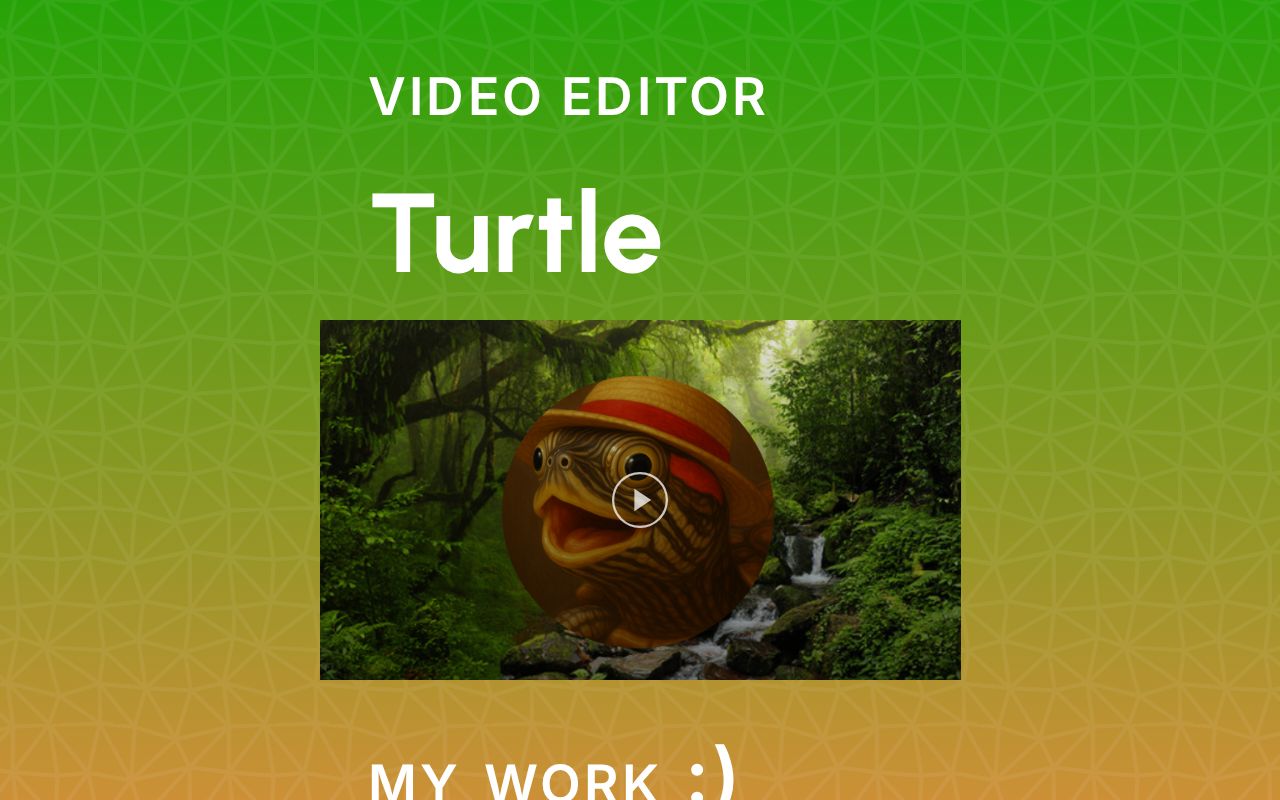 TurtleVideo Editor